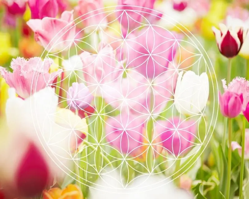 The Flower of Life Spiritual Meaning: Symbolism