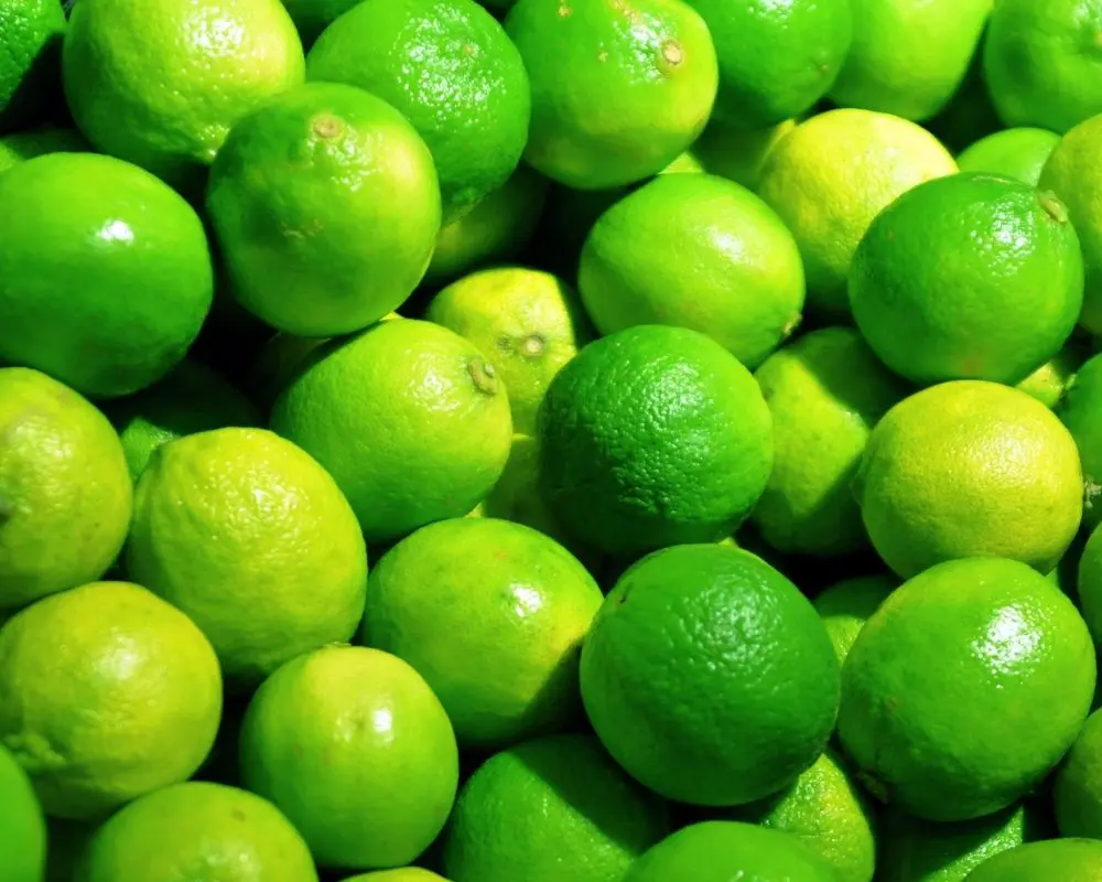 Spiritual Meaning of Lemons in a Dream